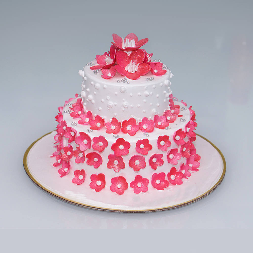 Our Story - Taste N Bite